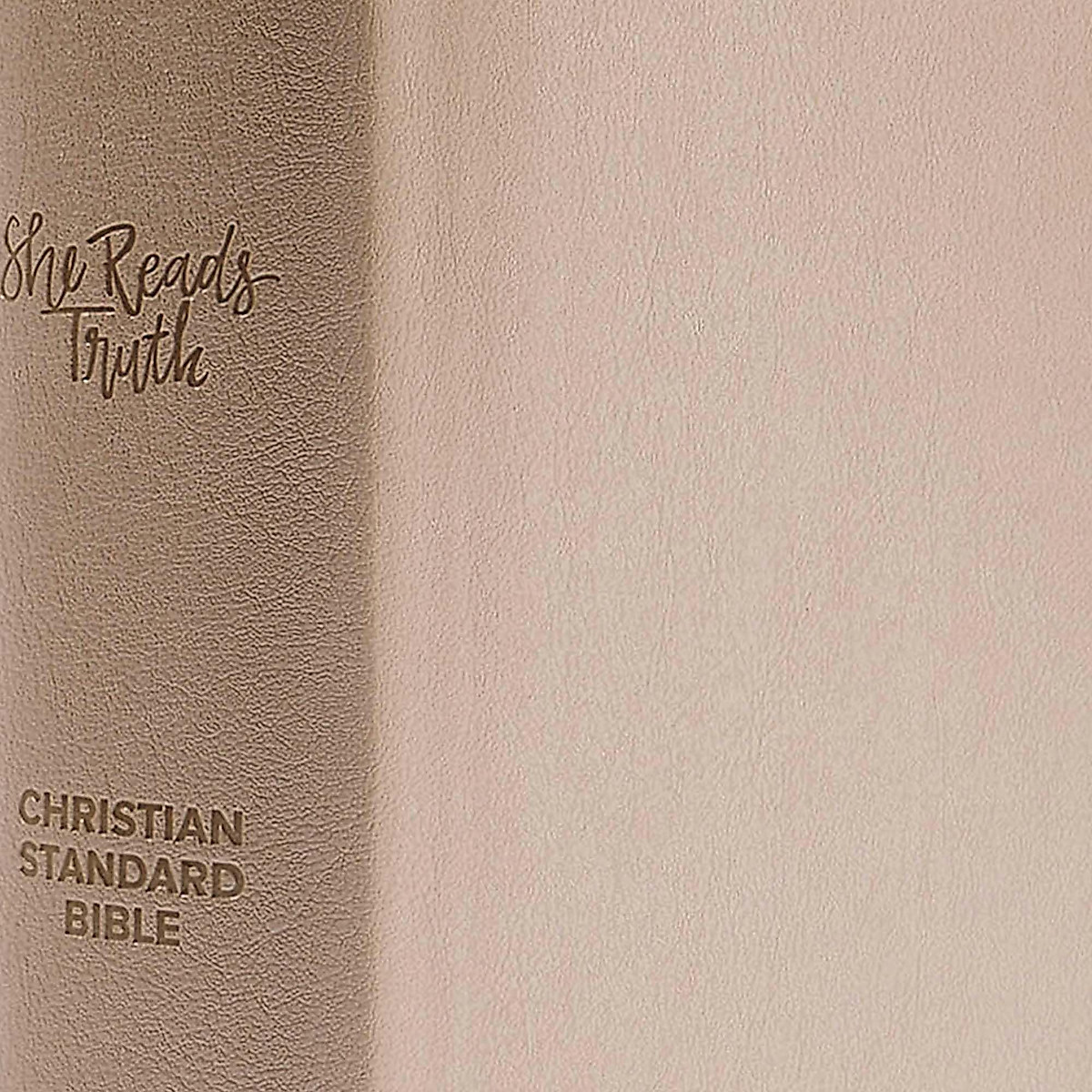CSB She Reads Truth Bible, Champagne Gold LeatherTouch, Black Letter, Full-Color Design, Wide Margins, Journaling Space, Devotionals, Reading Plans, Single-Column, Easy-to-Read Bible Serif Type