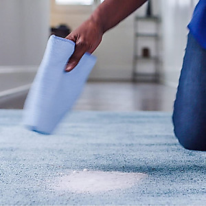 Zep Instant Carpet and Upholstery Spot Remover 19 ounce - ZUSPOT19 - No Scrubbing!