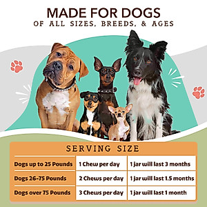 Natural Dog Company Ultimate Dog Health Bundle - Multivitamin, Skin & Coat, Hip and Joint Supplement Chews - Supports Immune System, Reduces Shedding, Enhances Mobility for Dogs of All Ages and Breeds