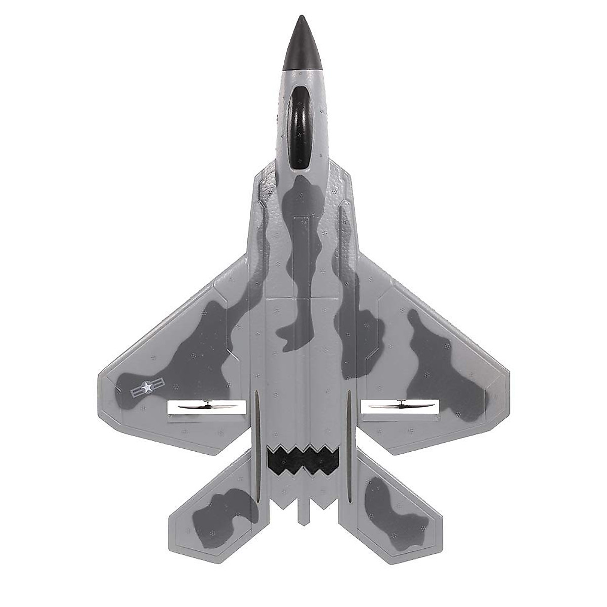 Goolsky FX822 F-22 Raptor Model Fighter, 2CH RC Plane, 2.4GHz Remote Control Airplane, EPP Fixed-Wing Aircraft RTF Toy for Kids and Adults