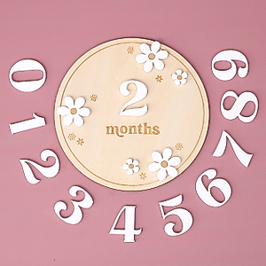 Wooden Boho Daisy Flower Milestone Cards - 1-12 Months Interchangeable Milestone Card Decor,Baby Party Photo Prop，Full Moon Background Decoration Props. (2-12 Months Daisy Flower Milestone Cards)