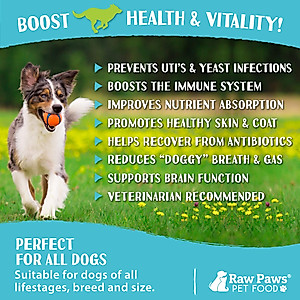 Raw Paws Natural Dog Probiotic Supplement with Prebiotics, 10-oz/100-ct - USA Made Daily Probiotic for Dogs Soft Chew - Treat Diarrhea in Dogs, Yeast, Dog Breath & Gas with Our Canine Probiotic Chews