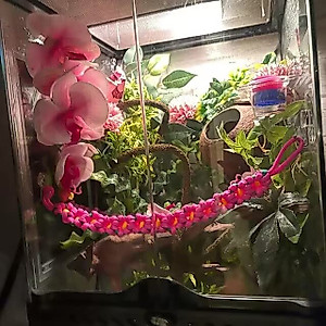 Reptile Plants, Amphibian Hanging Plants, Reptile Terrarium Plants Gecko Tank Accessories with Suction Cups Plants Terrarium Decor for Hermit Crab Lizards Geckos Snake Reptile, Pink (AMFB005)