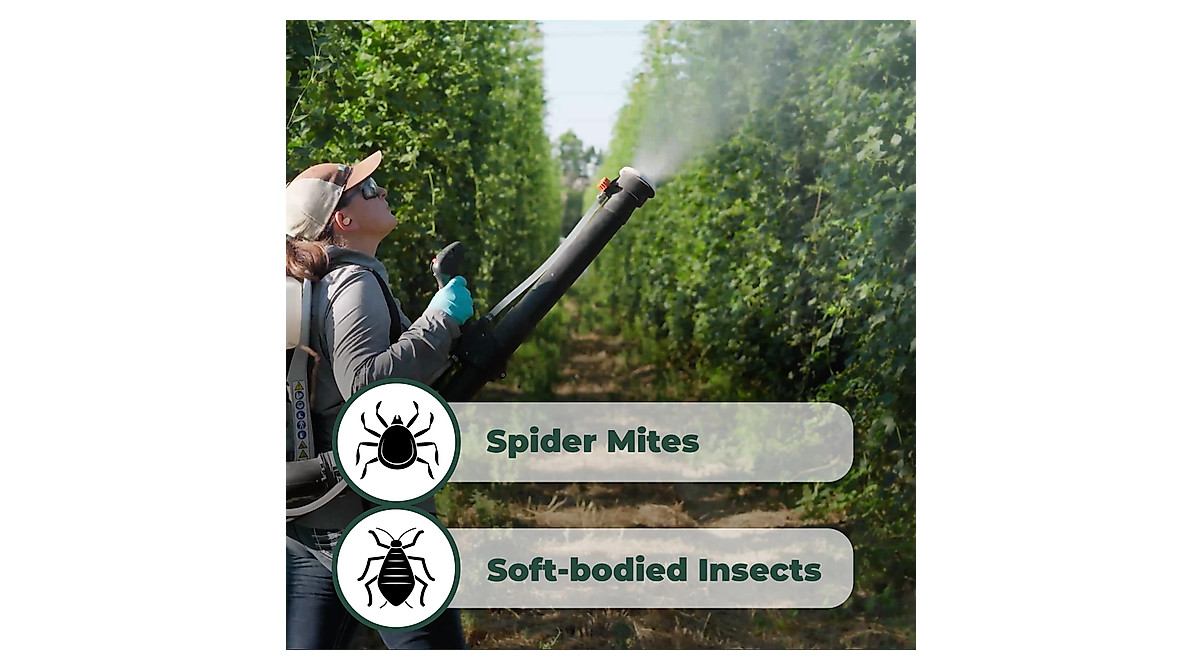 Clean Green Miticide - Effective 16oz Organic Insecticide