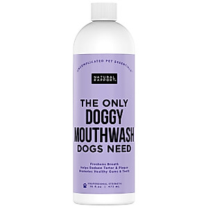 Natural Rapport Dog Mouthwash - The Only Doggy Mouthwash Dogs Need - Dog Breath Freshener Water Additive for Dental Care (16 fl oz.)