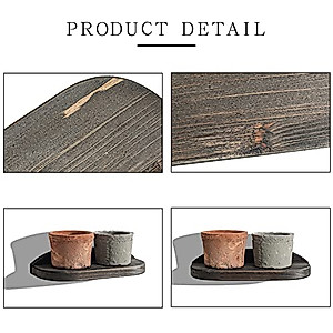 Freezing point Small Floating Shelves for Wall Set of 2 Semicircle Wood Trapezoid 10×4Inch Mini Wall Shelf Decor Plant Display Mounted Kitchen Bathroom Bedroom Corner Decorative Storage Tiny Stand