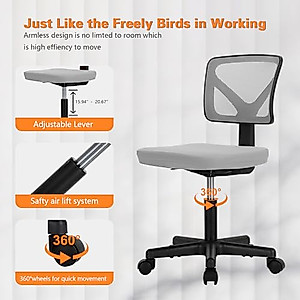 NEWBULIG Ergonomic Armless Home Office Desk Chair with Lumbar Support for Space Swivel 360° Wheels Adjustable Lever Rolling for Tiny Apartment,Conference Room, Grey