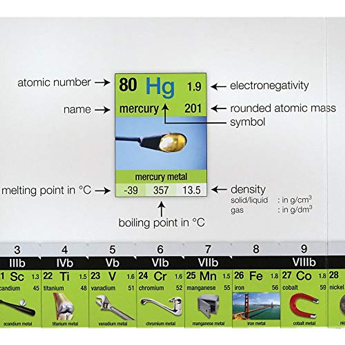 Carolina Student Infographic Periodic Table