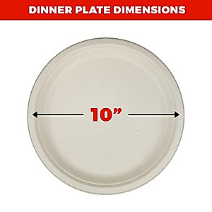 NYHI Heavy Duty Plates 10 Inch Disposable Plates For Adults Kids Brown Eco Friendly Sugarcane Paper Plates Are Cut Leak Resistant 125 Pack 3 compartment