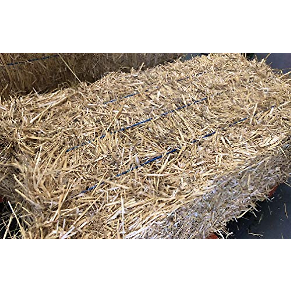 AA Plus Shop 100% Natural Wheat Straw Grass, Animal Bedding and Farm Wheat Straw (4LB)