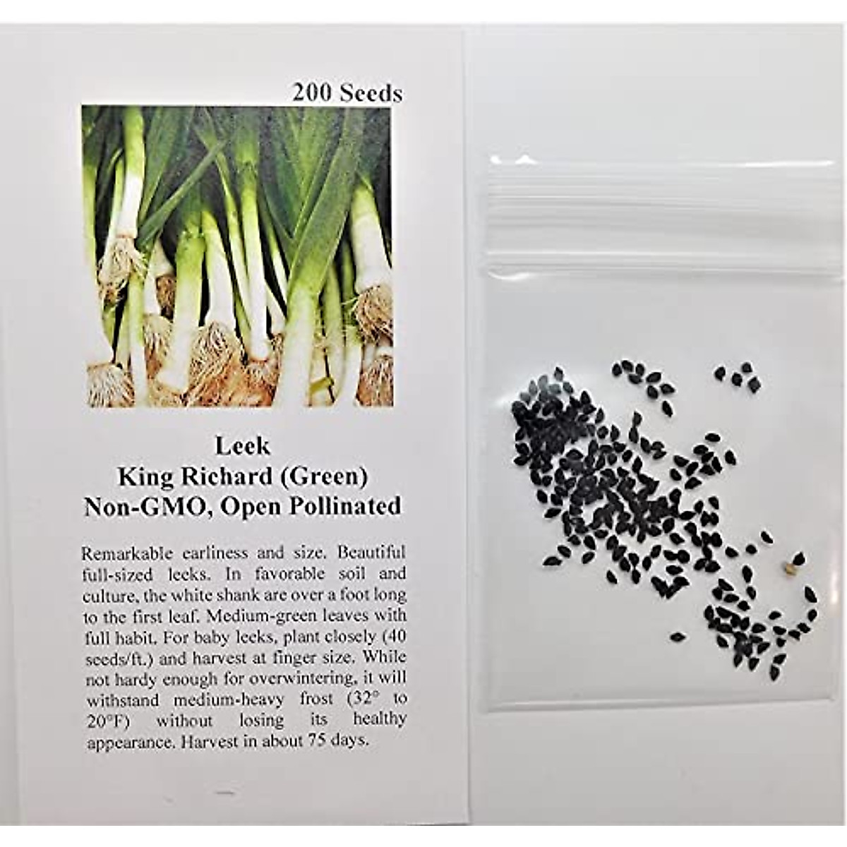 David's Garden Seeds Leek King Richard (Green) 200 Non-GMO, Open Pollinated Seeds