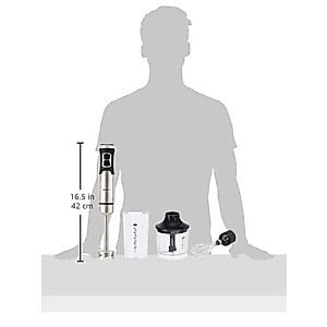 Amazon Basics 500 Watt Multi-Speed Immersion Hand Blender with Attachments, Silver