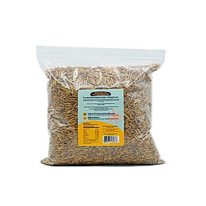 Foragers Feed Whole Dried Black Soldier Fly Larvae, Sustainable Chicken and Livestock Feed for Animal Health, 1 Lb Resealable Bag