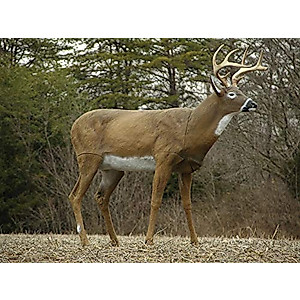 Flambeau Outdoors 5965MS Boss Buck - Masters Series Deer Decoy