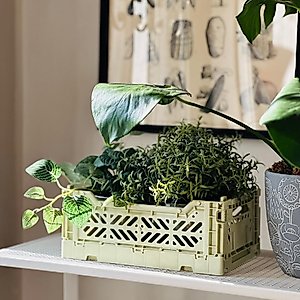 AYKASA Collapsible Storage Bins, Plastic Crate for Storage, Collapsible Crate, Utility Stackable Box