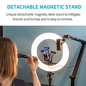 Saramonic SR-MV2000 Plug&Play Premium Cardioid USB Condenser Microphone, with Vocal Effects, Compact Footprint, Latency-Free, for Gaming, Streaming and Podcasting on PC and Mac - Mini