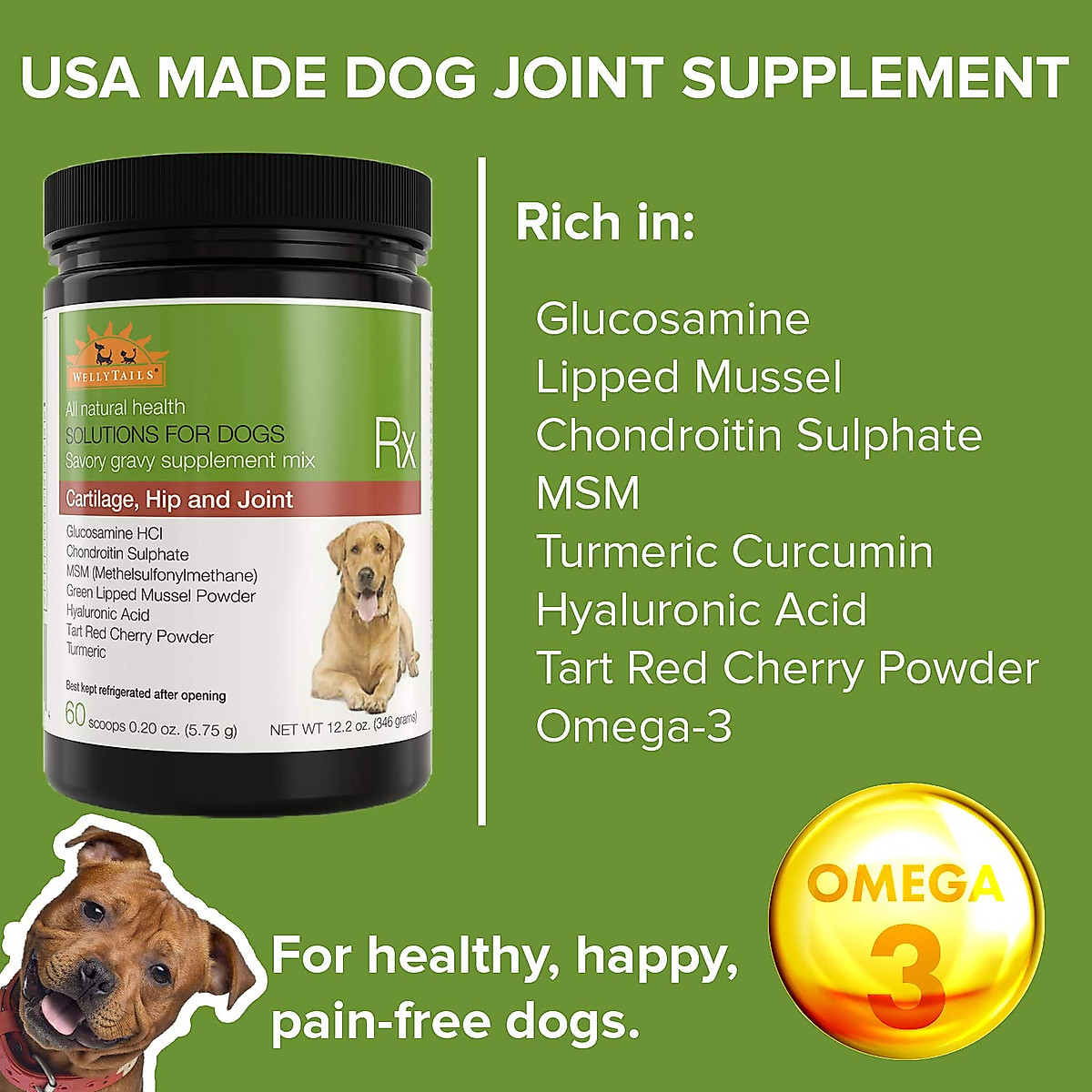 WellyTails Glucosamine Chondroitin MSM Turmeric Dog Joint Supplement for Large Dogs 12.2 oz. (60 Scoops)