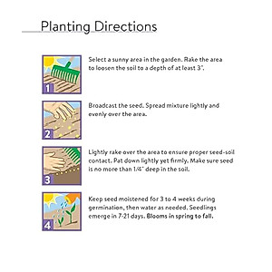 Burpee Wildflower 50,000 Bulk, 1 Bag | 18 Varieties of Non-GMO Flower Seeds Pollinator Garden, Perennial Mix