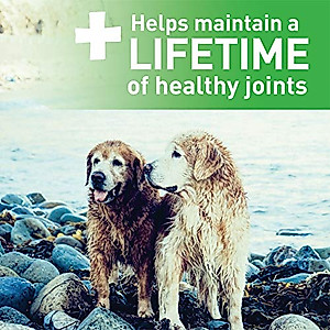 Greenies Aging Care TEENIE Natural Dental Care Dog Treats, 27 oz. Pack (96 Treats)