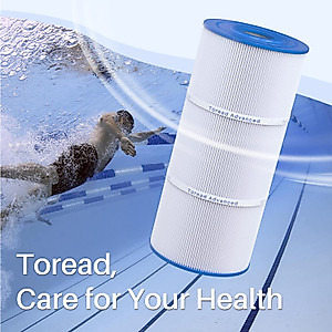 TOREAD PWK35B Filter Replaces Watkins 1642301-1, 78161, 78286, Hot Spring Limelight Series Filter Cartridge