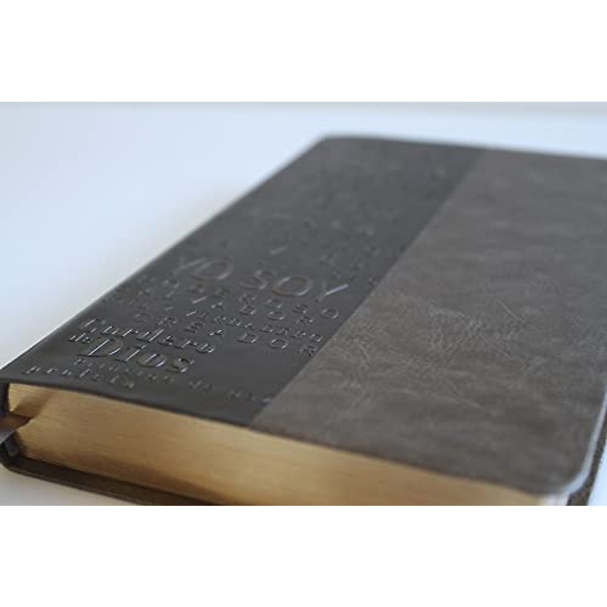 Biblia RVR 1960 letra grande tamaño manual, simil piel gris con nombres de Dios / Spanish Bible RVR 1960 Handy Size Large Print Leathersoft Grey, Names of god