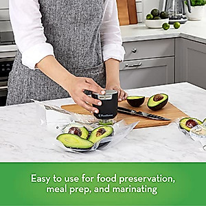 FoodSaver FS2160 Multi-Use Handheld Vacuum Sealer And Marinator, 2146039