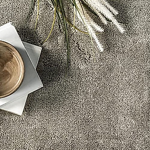 nuLOOM Loni Solid Machine Washable Shag Area Rug, 4' x 6', Beige