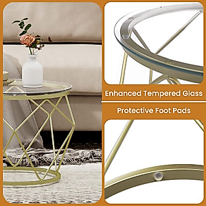 Hzuaneri Round Coffee Table Set of 2, Special-Shaped Small Side Tables, End Tables with Metal Frame and Tempered Glass Top, Modern Living Room Table Sets for Parlour, Bedroom, Office, Gold 01801GCTV1