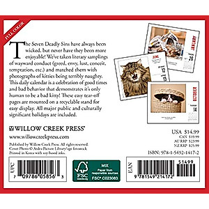 Bad Kitties 2021 Box Calendar