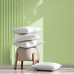 Dorrin Nessin 18x18 Feather Throw Pillows Inserts Set of 2 with 100% Skin-friendly Cotton Shell, Stuffer Bed and Couch Decorative Pillows - Indoor Decorative Feather Pillows