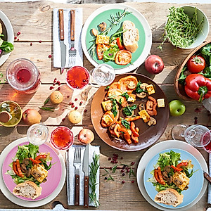 PTNITWO Lightweight Wheat Straw Plates,Plastic Plates Reusable,Unbreakable Deep Dinner Plates, Assorted Colors Dinnerware Sets,Dishwasher Safe