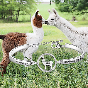 FOTAP Llama Gift Never Forget How Llamazing You Are Bracelet Alpaca Gifts (Llama S Bangle)