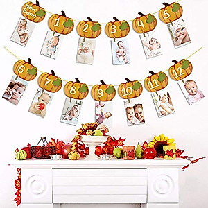 Rainlemon Pumpkin Photo Banner Fall Autumn Little Pumpkin Boy Gril 1st Birthday Party Photo Garland 12 Months Photo Prop