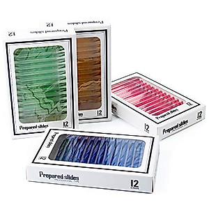 LINKMICRO 48pcs Prepared Plastic Microscopes Slides with 4 Types of Glass Biological Specimen for Kids Students
