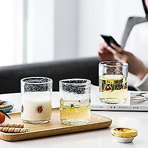 EVEREST GLOBAL Hand Blown Cute Bubble Fruit Decal Glasses set of 4, 15.4 oz Crystal Clear Home Decor Lovely Drinking Water Cups Gifts for Women