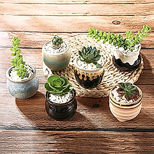 T4U Small Ceramic Succulent Pots with Drainage Set of 6, Mini Pots for Plants, Tiny Porcelain Planter, Air Plant Flower Pots Cactus Faux Plants Containers, Home and Office Decor