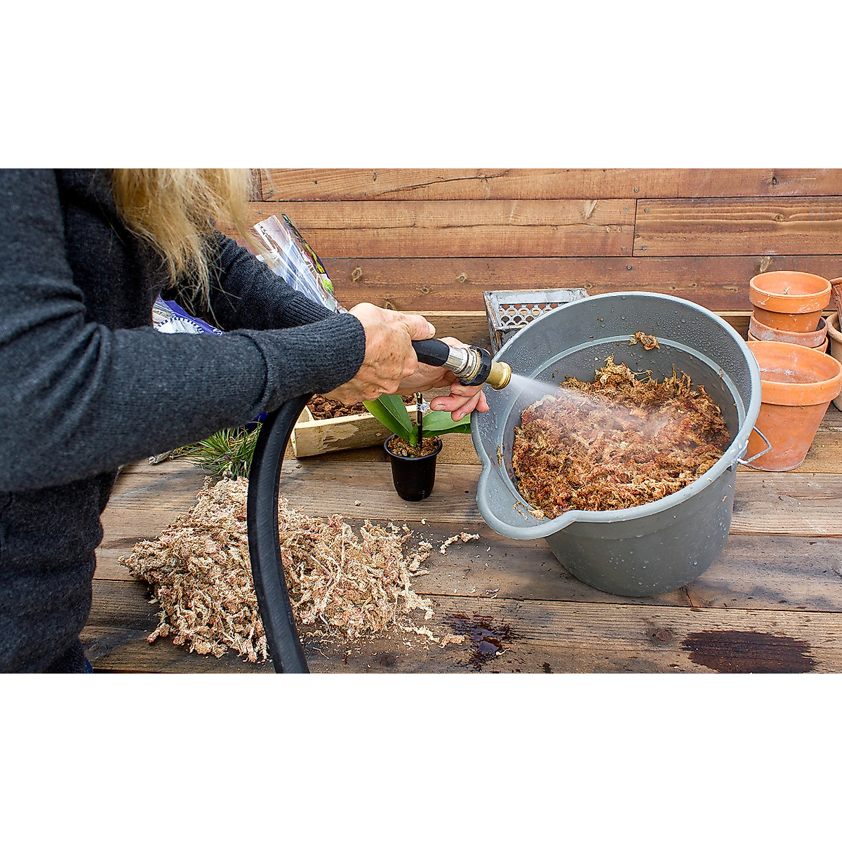 SuperMoss (22325) Orchid Sphagnum Moss Dried, Natural, 1 Pound Mini Bale