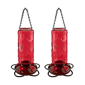 Urban Deco Large Capacity Hummingbird Feeders for Outdoors Hanging Wild Bird Feeders with 5 Nectar Bird Feeding Station 30 OZ Red Glass Bird Feeder - (Pack of 2)