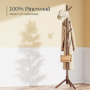 Pipishell Coat Rack and 5 Tier Corner Shelf for Home Office