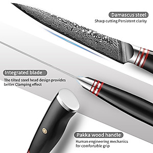 lrovag Utility Kitchen Knife，5 Inch Damascus Paring Knife, Super Sharp High Carbon Stainless Steel Fruit Knife，Multipurpose Chopping Knife, Japan VG10 Steel Core,Premium Gift Box