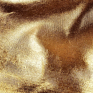 AIVYNA Coatings Foil Lame Knit 59inch Wide Metallic Fabric Covering Plants by The Yard(1Yard Gold)