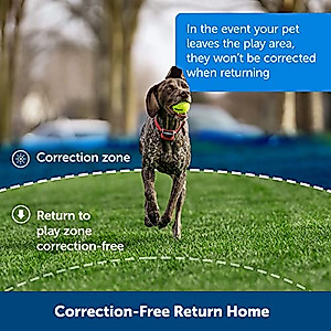 PetSafe Stay & Play Wireless Pet Fence for Stubborn Dogs – No Wire to Bury – Covers 3/4-Acre Yard – For Hard-to-Train Dogs 5 lbs. & Up – Portable – From the Parent Company of INVISIBLE FENCE Brand