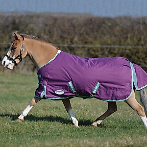 WeatherBeeta ComFiTec Premier Freedom Pony Standard Neck Lite Horse Blanket, Purple/Navy/Mint, 69"