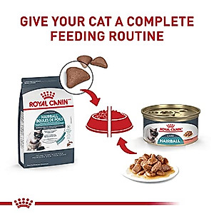 Royal Canin Hairball Care Thin Slices in Gravy Wet Cat Food, 3 oz can (24-count)