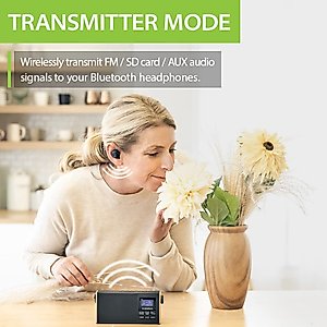 Streaming Radio to Bluetooth Earbuds or Home Stereo System, FM Radio, Bluetooth Transmitter, Bluetooth Speaker, SD Card MP3 Player 4-in-1 Device with Rechargeable Battery - Avantree Soundbyte T