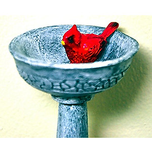 G & F Products MiniGardenn 10027 Fairy Garden Polyresin Miniature, Cardinal Birdbath Pick