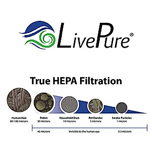 LivePure True HEPA Replacement LP-HF250 Filter for Sierra Tall Tower Air Purifier LP250TH, LP250THP