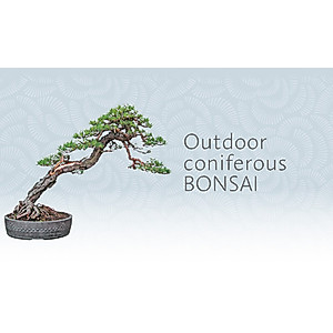 The Bonsai Beginner's Bible