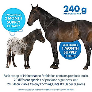 Equa Holistics HealthyGut™ Probiotics for Horses Dietary Supplement, All-Natural Digestive System Maintenance Formula (30 Days)