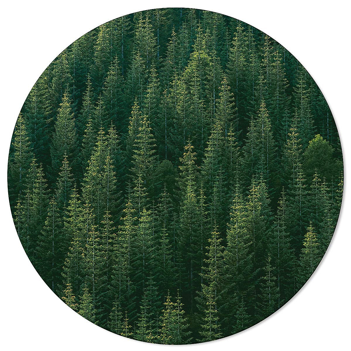 Christmas Reindeer Area Rug Round Rugs 3ft, Merry Christmas Happy New Year Winter Holiday Area Runner Circle Rug Non-Slip Carpets Kids Living Room Bedroom Indoor Outdoor Nursery Rugs Décor